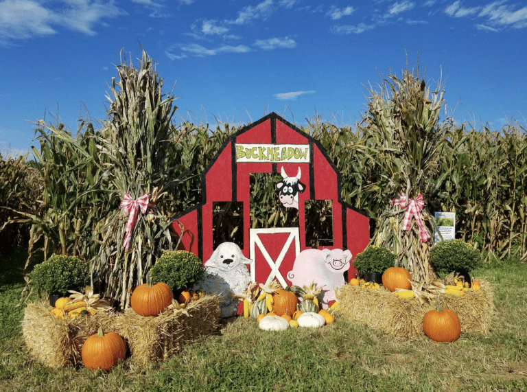 buckmeadow-farms-visit-lawrenceburg-ky